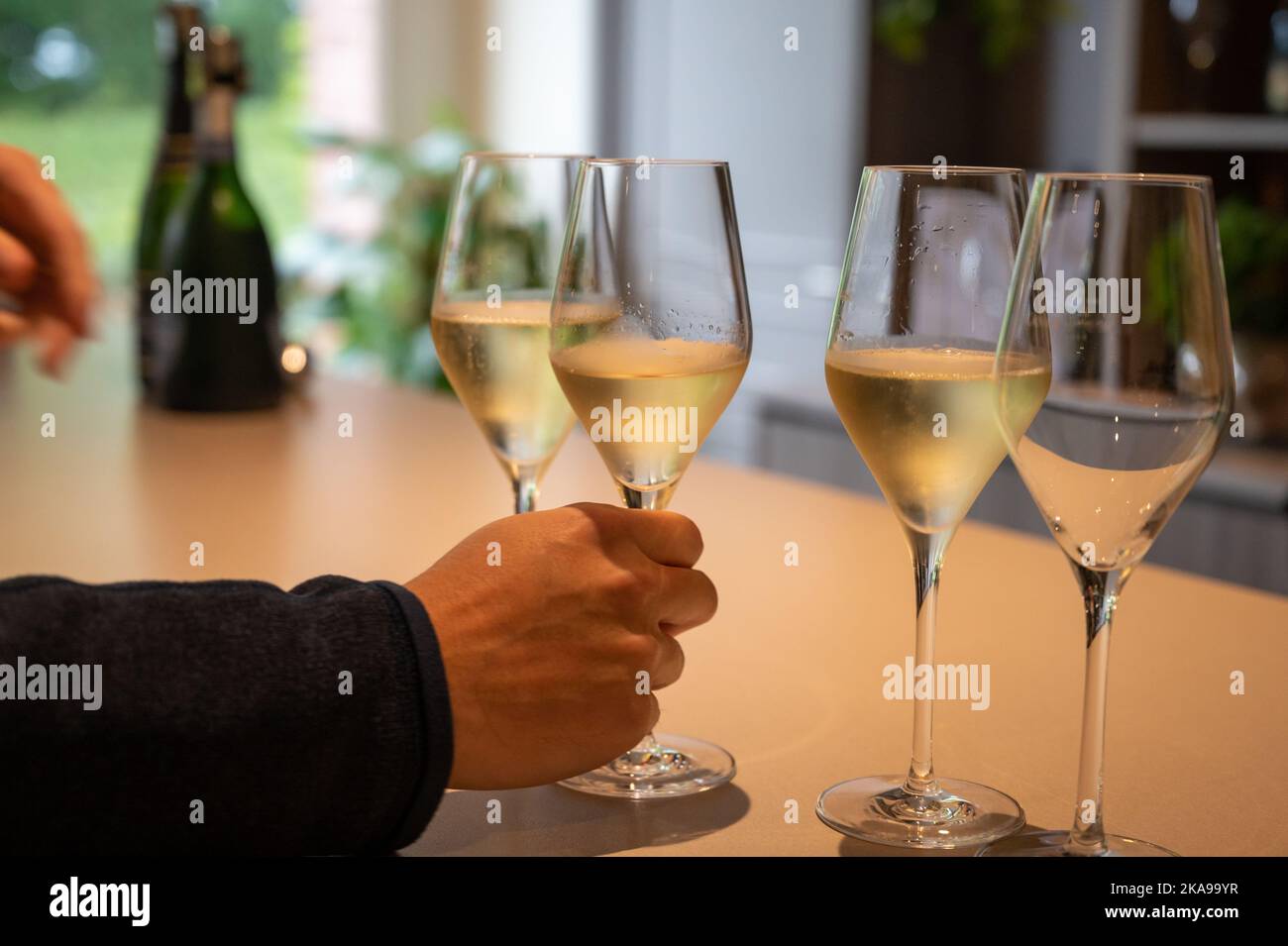 Tasting of brut and reserve grand cru champagne sparkling wine produced by traditional method in ...
