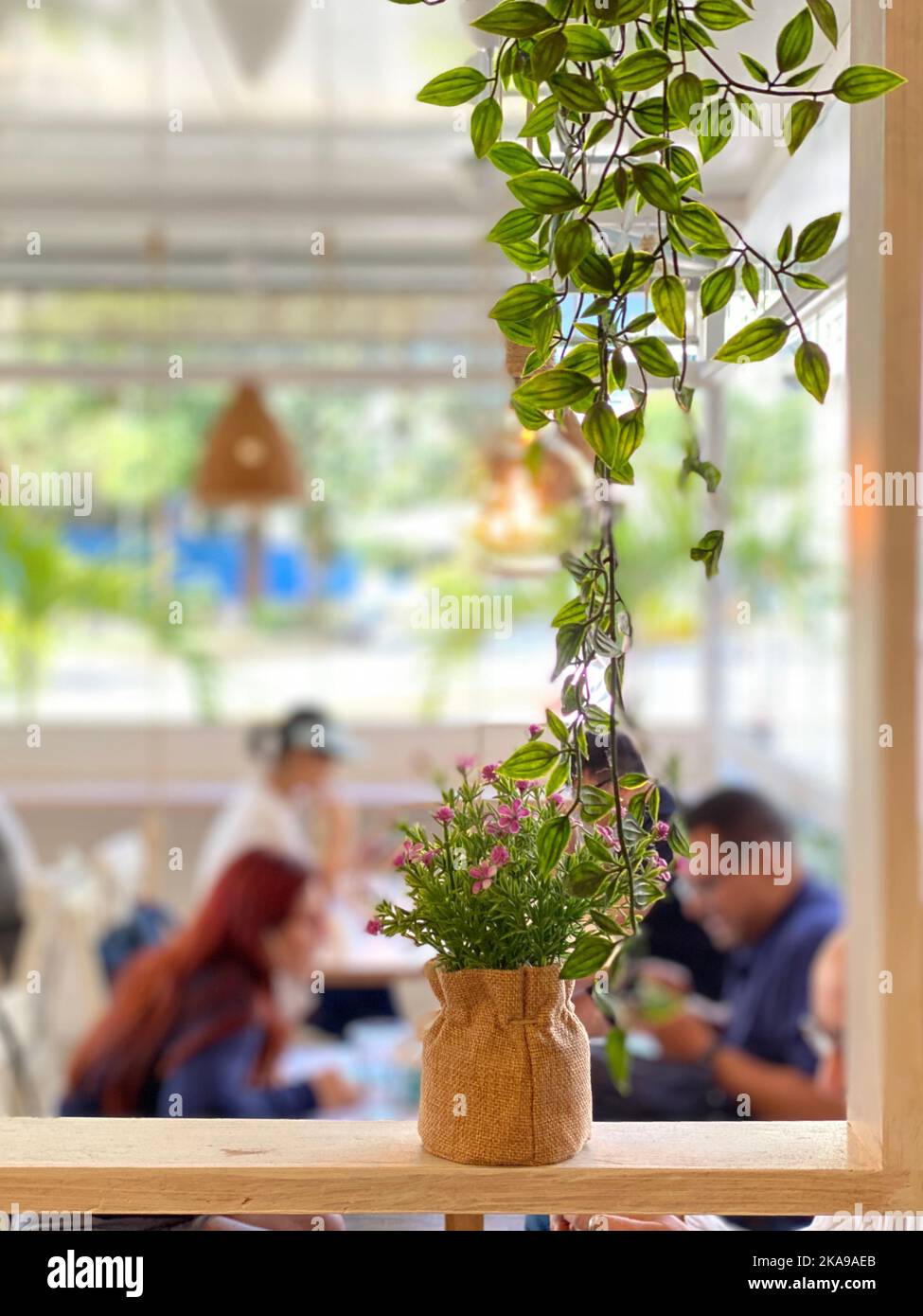 A vertical closeup of a silver inch plant in a cafe against a blurry ...