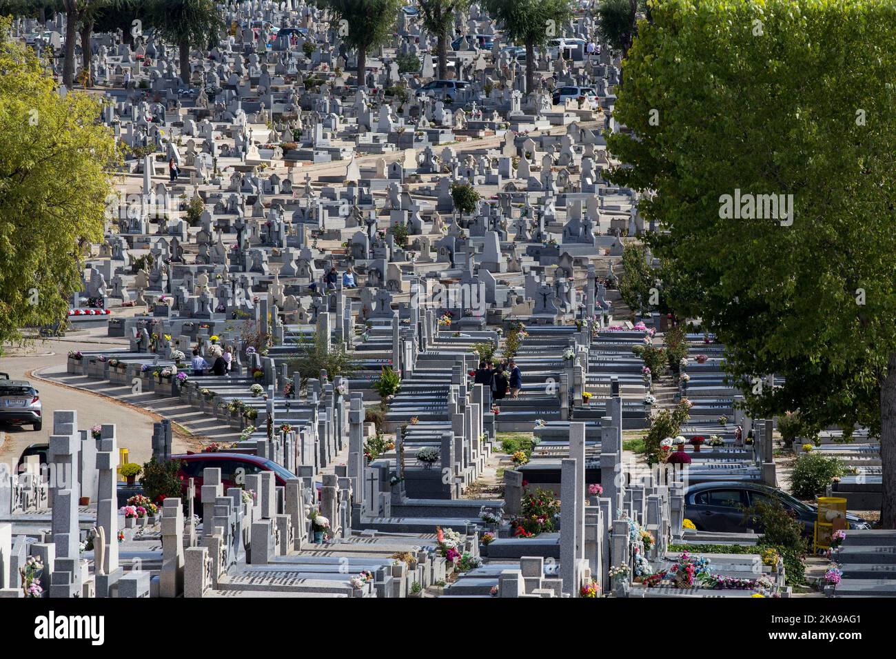 Madrid, Spain. 01st Nov, 2022. People adorn the tombs of relatives in ...