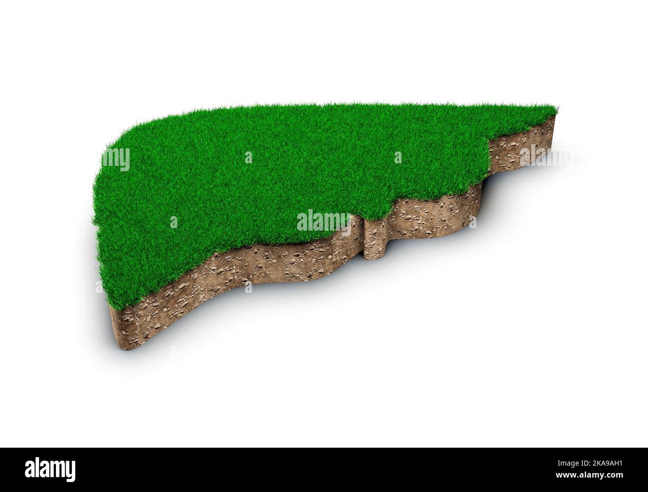 A liver shape of green grass and rock ground made isolated on a white ...