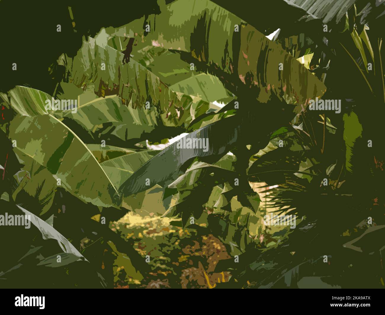 Illustrative close up of the large architectural green leaves of the ...