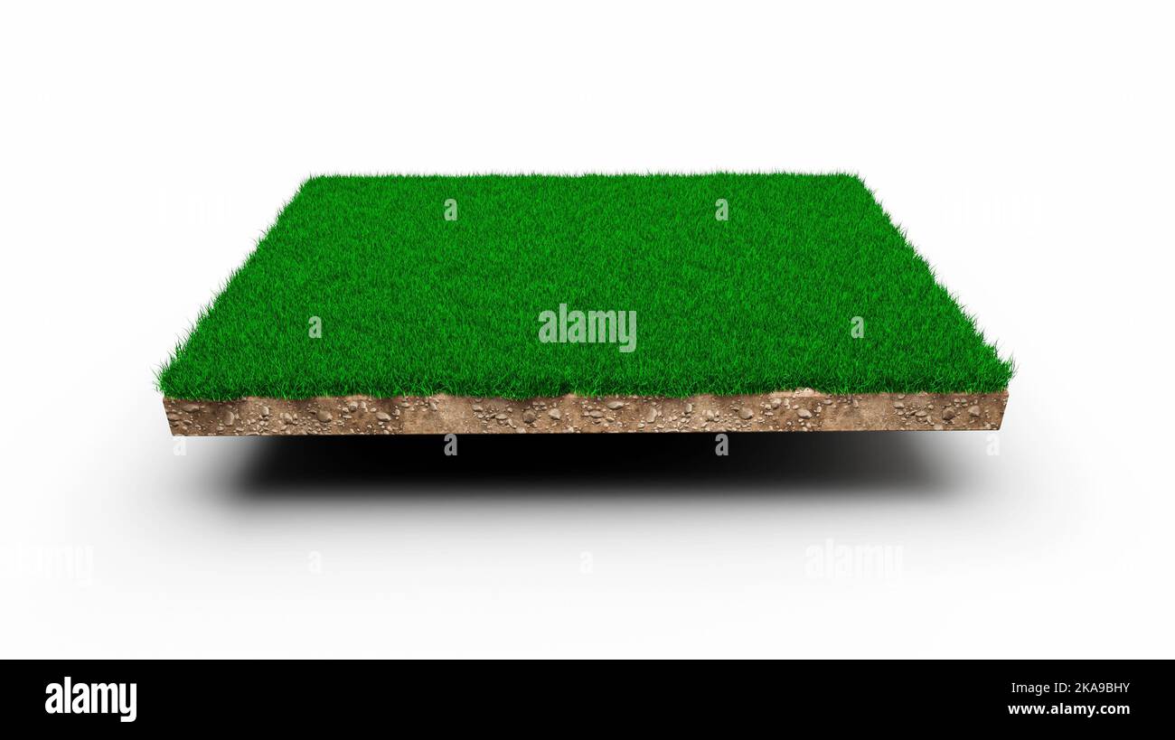 A 3D rendering of a square of green grass field isolated on a white ...