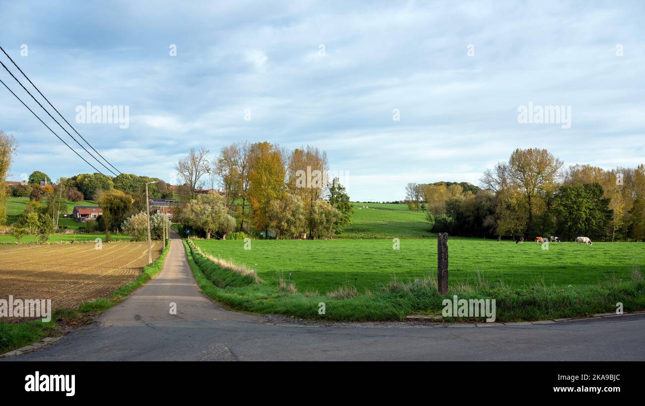 rural countryside landscape west of brussels in belgium Stock Photo - Alamy