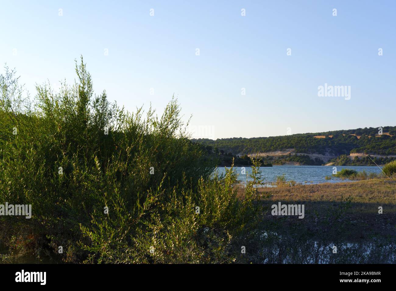 Hills over the lake, trees and bushes at lakeside Stock Photo - Alamy