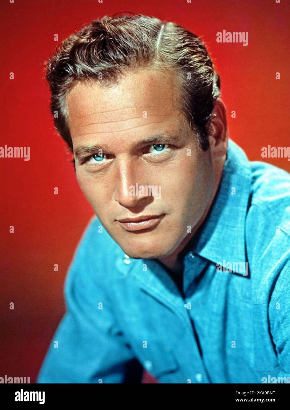 PAUL NEWMAN (1925-2008) American film actor in 1955 Stock Photo - Alamy