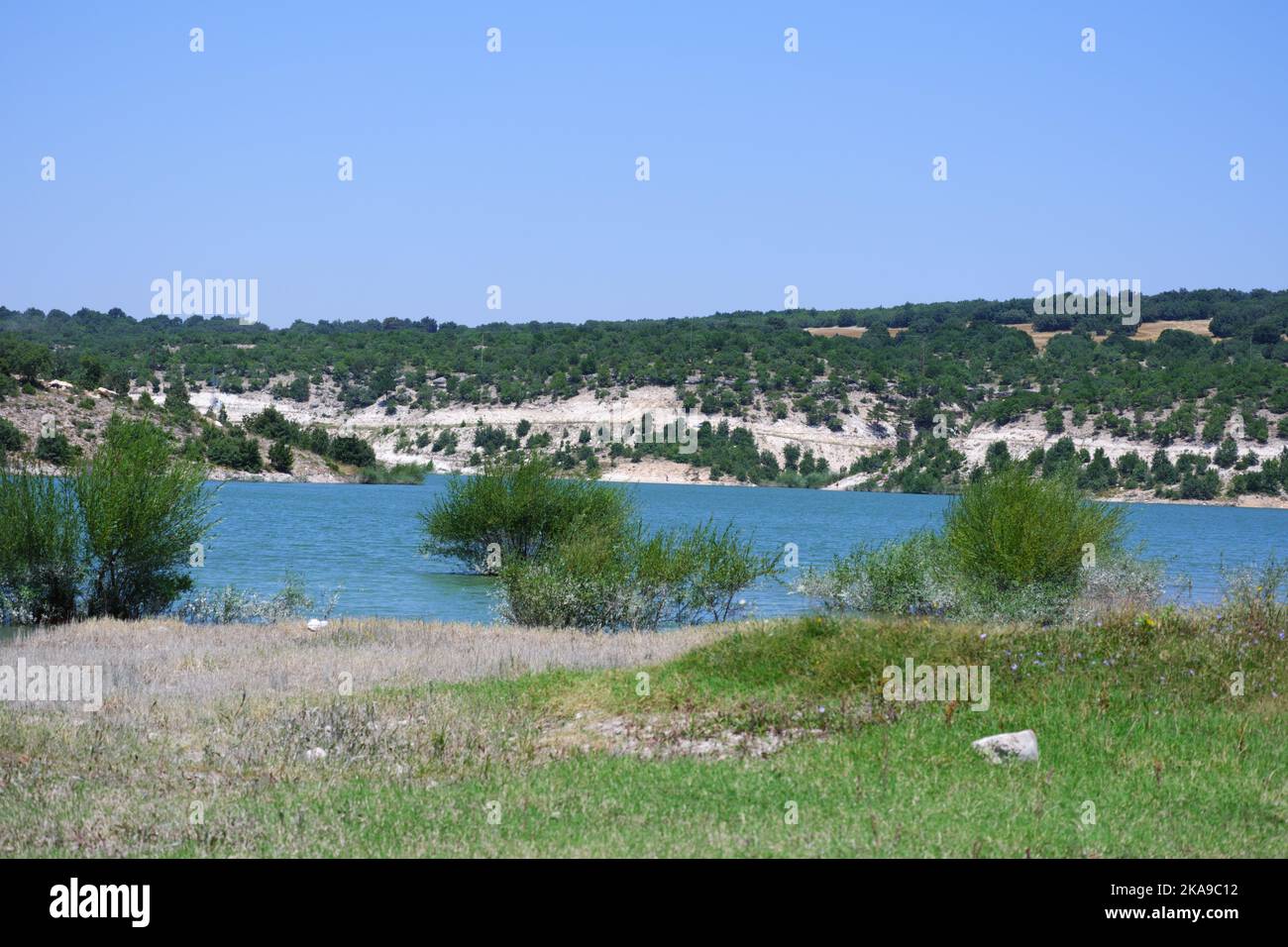 Lakeside plants hi-res stock photography and images - Alamy