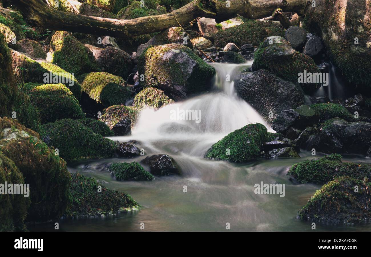 A breathtaking view of a small waterfall flowing through the moss ...