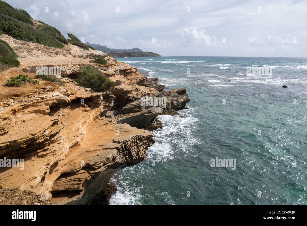 Coastline trail on Kauai Hawaii during sunny weather Stock Photo - Alamy