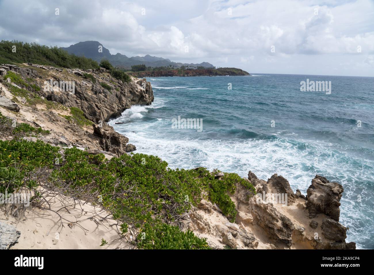 Coastline trail on Kauai Hawaii during sunny weather Stock Photo - Alamy