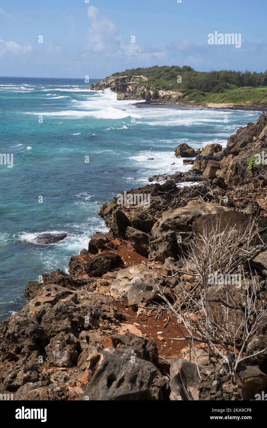Coastline trail on Kauai Hawaii during sunny weather Stock Photo - Alamy
