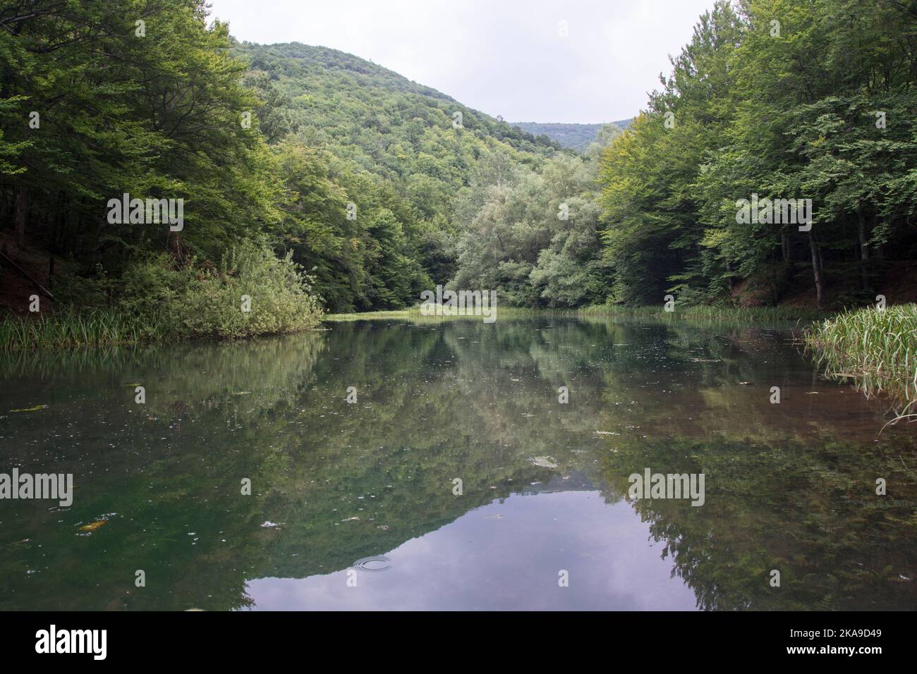 Grza lake hi-res stock photography and images - Alamy