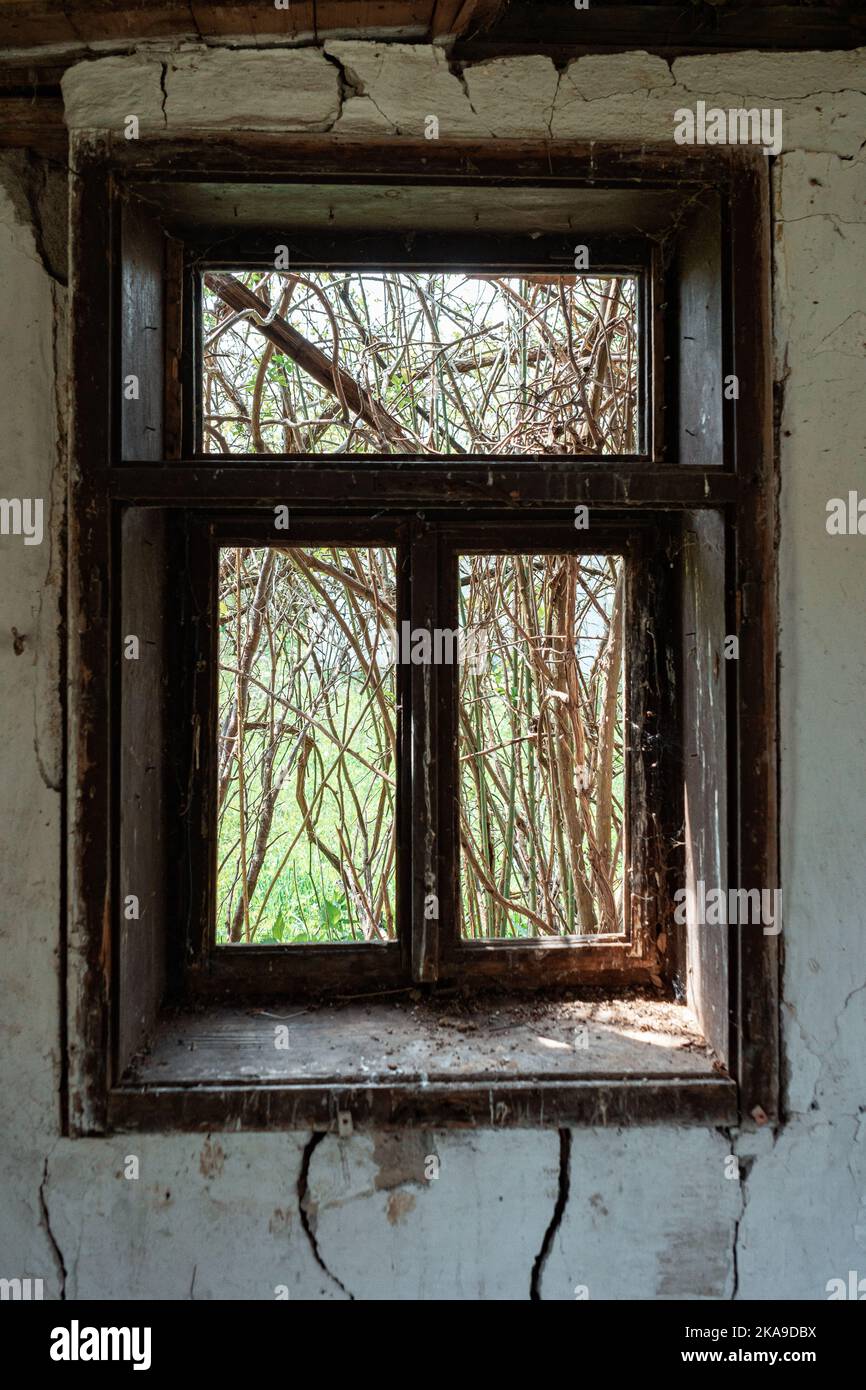 A vertical shot of a window of an old abandoned house from the inside ...