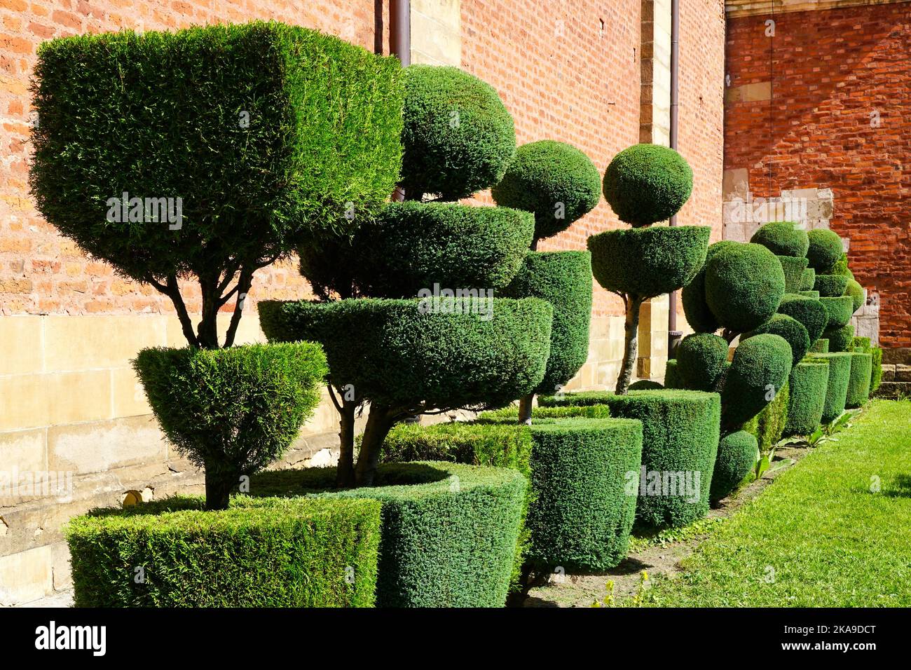 A row of formed green decorative bushes created in different geometric ...