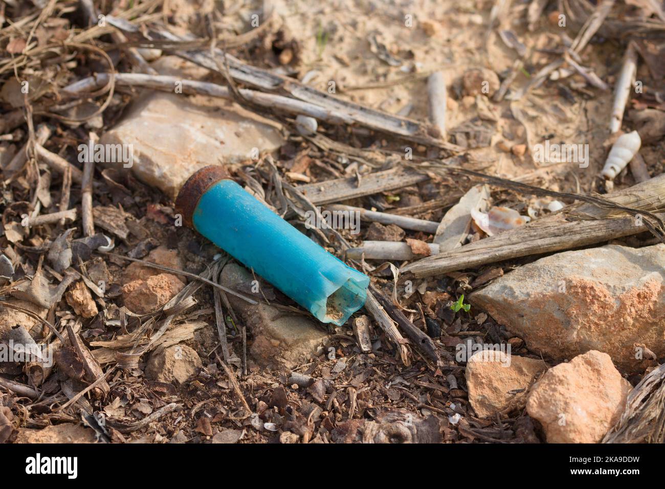 Cartridge abandoned in the field by a hunter after being shot to hunt ...