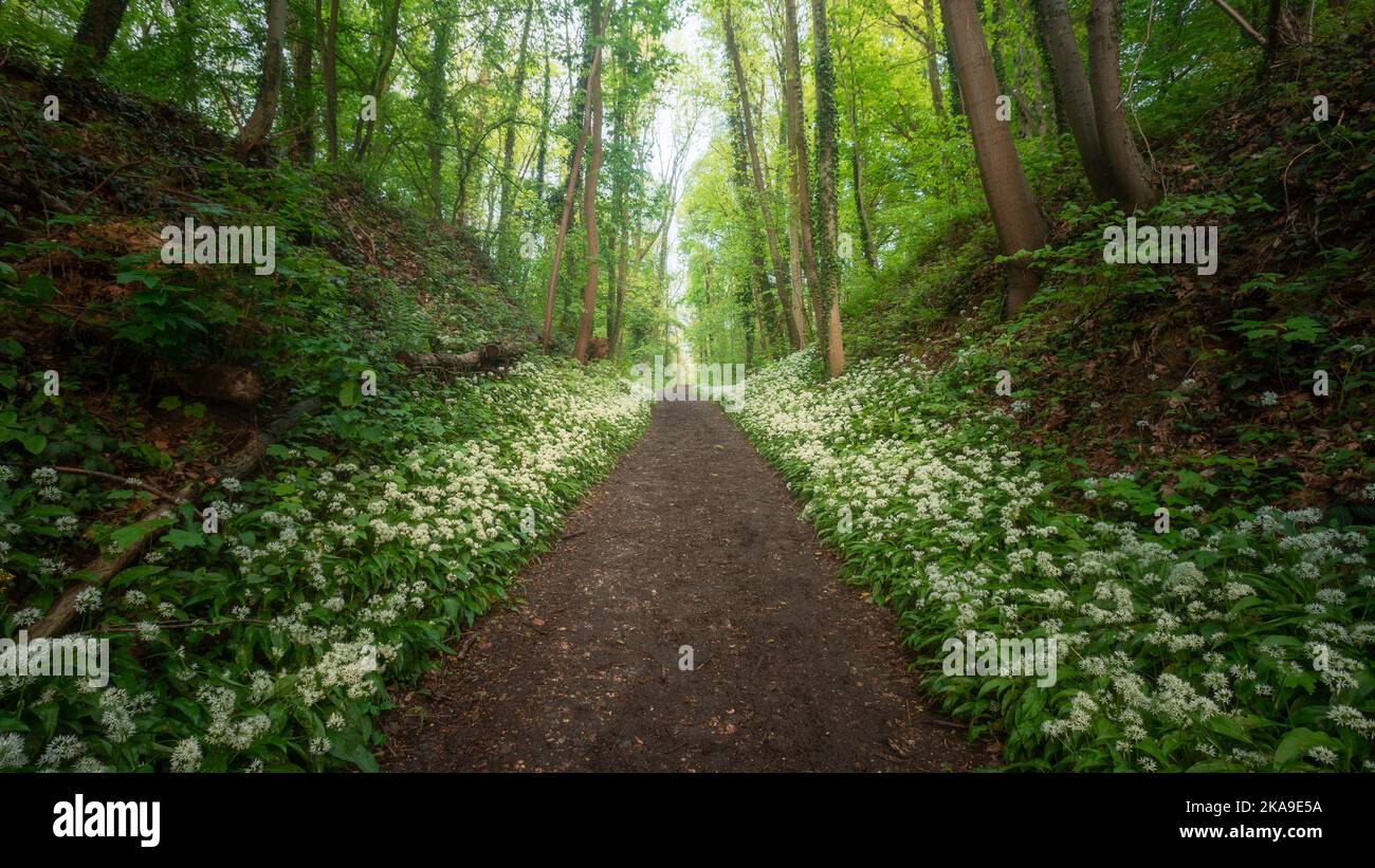 Long white path hi-res stock photography and images - Alamy