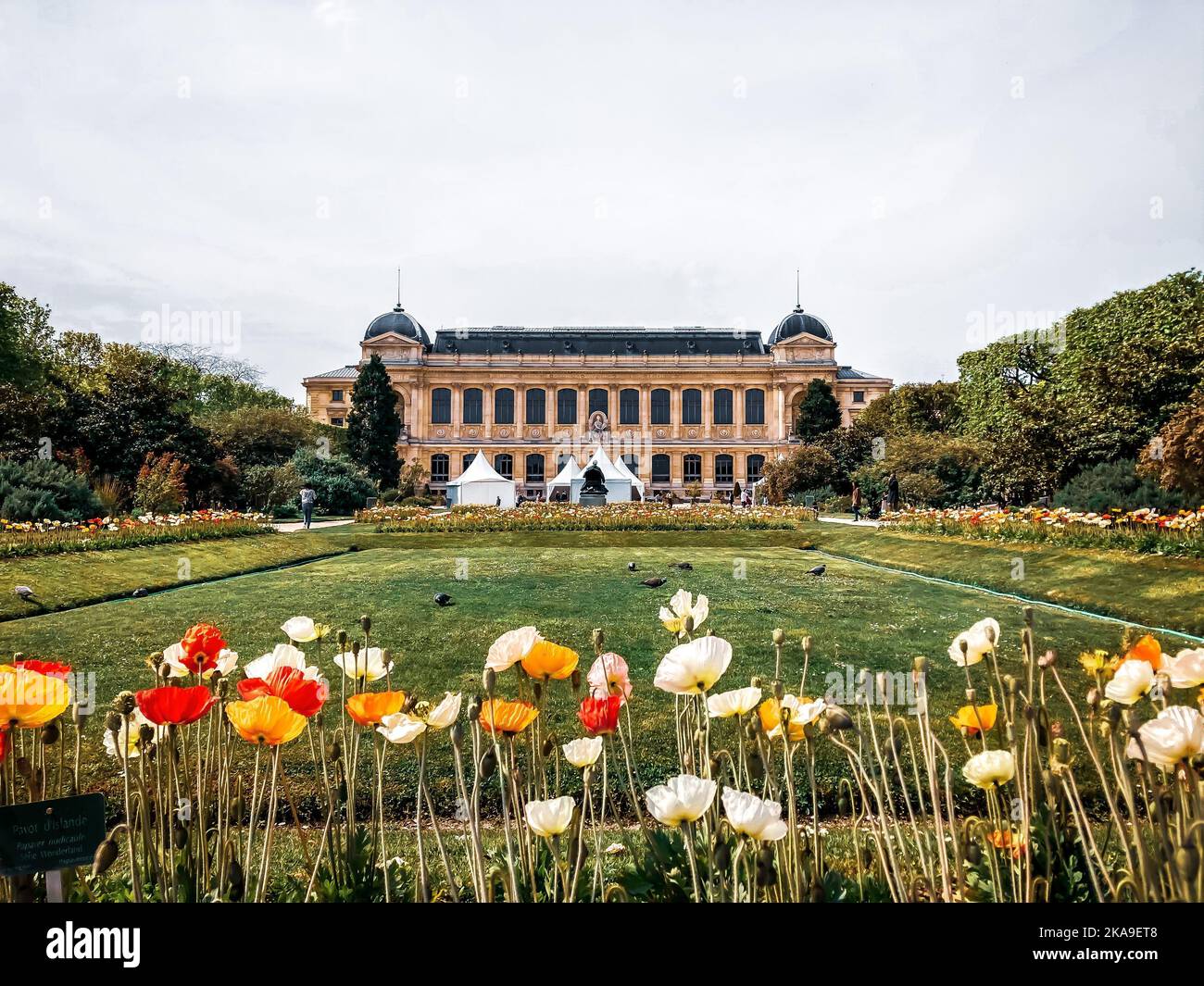 A beautiful distant view of the Gallery of Evolution museum in Paris ...
