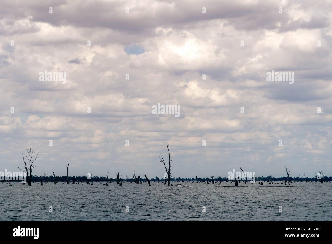 A beautiful view of a field with a cloudy sky in the background Stock ...