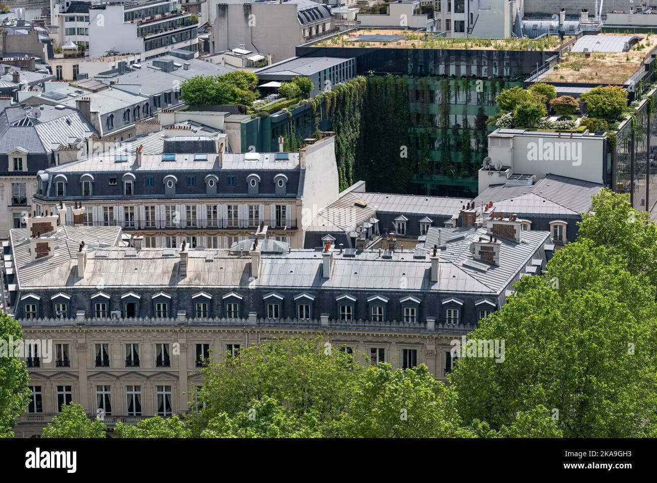 Paris, luxury Haussmann facades and roofs in a attractive area of the ...