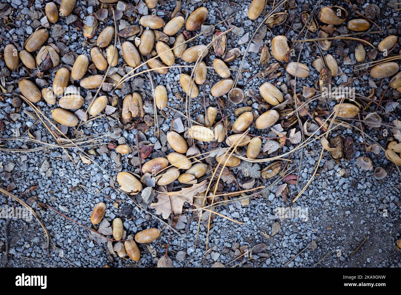Ground outdoor hi-res stock photography and images - Alamy