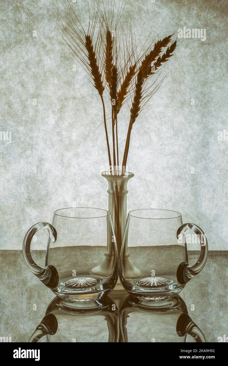 Two empty beer glasses on the background of a vase with barley ears ...