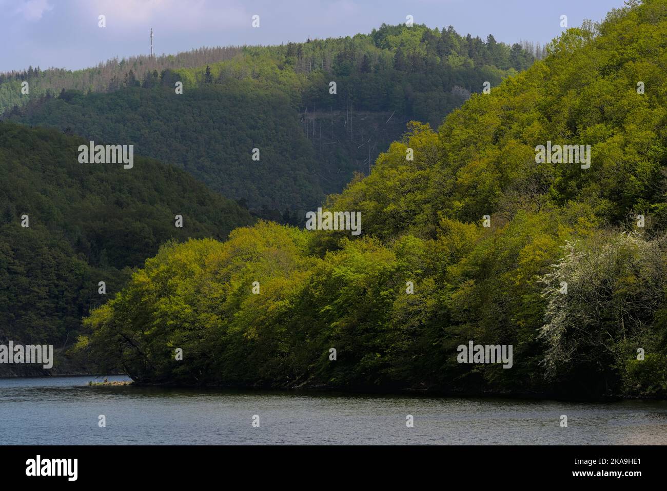 A mesmerizing view of high green mountains on the water and a blue sky ...