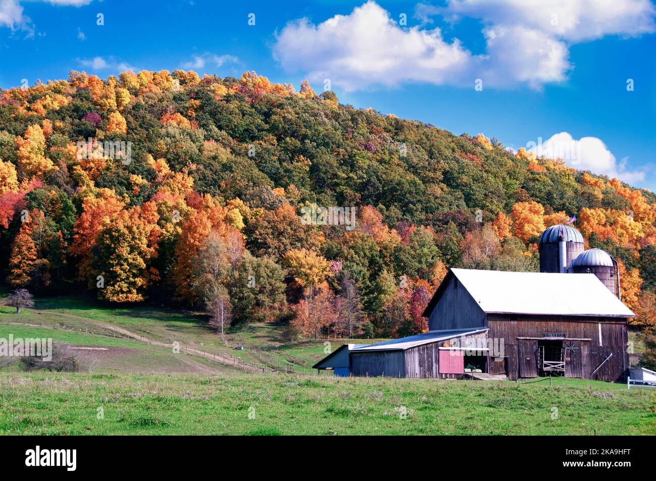 A small rural house with a great mountain covered with trees in autumn ...