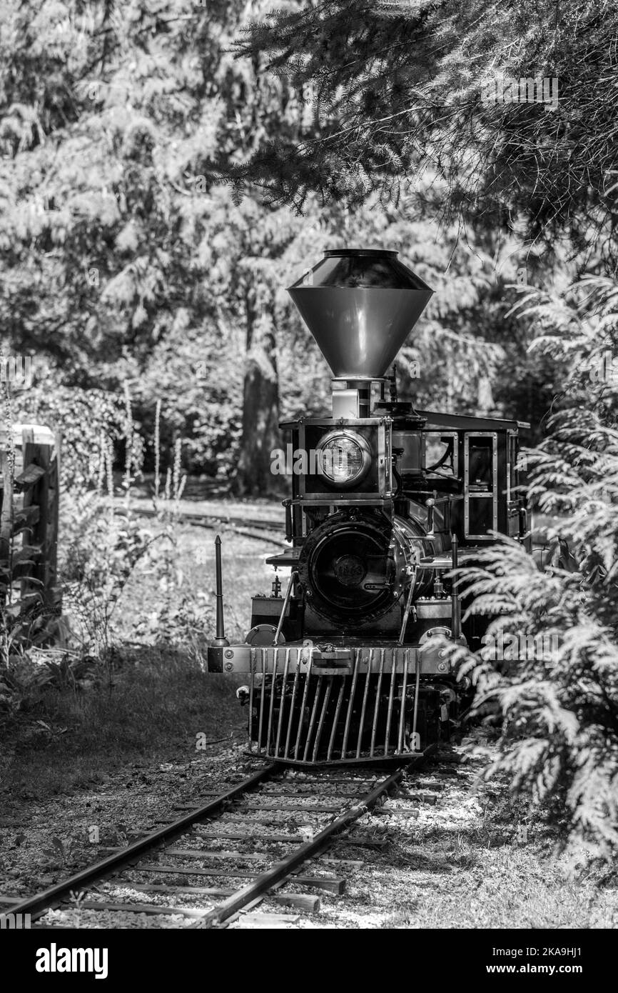Old steam railway train Black and White Stock Photos & Images - Alamy
