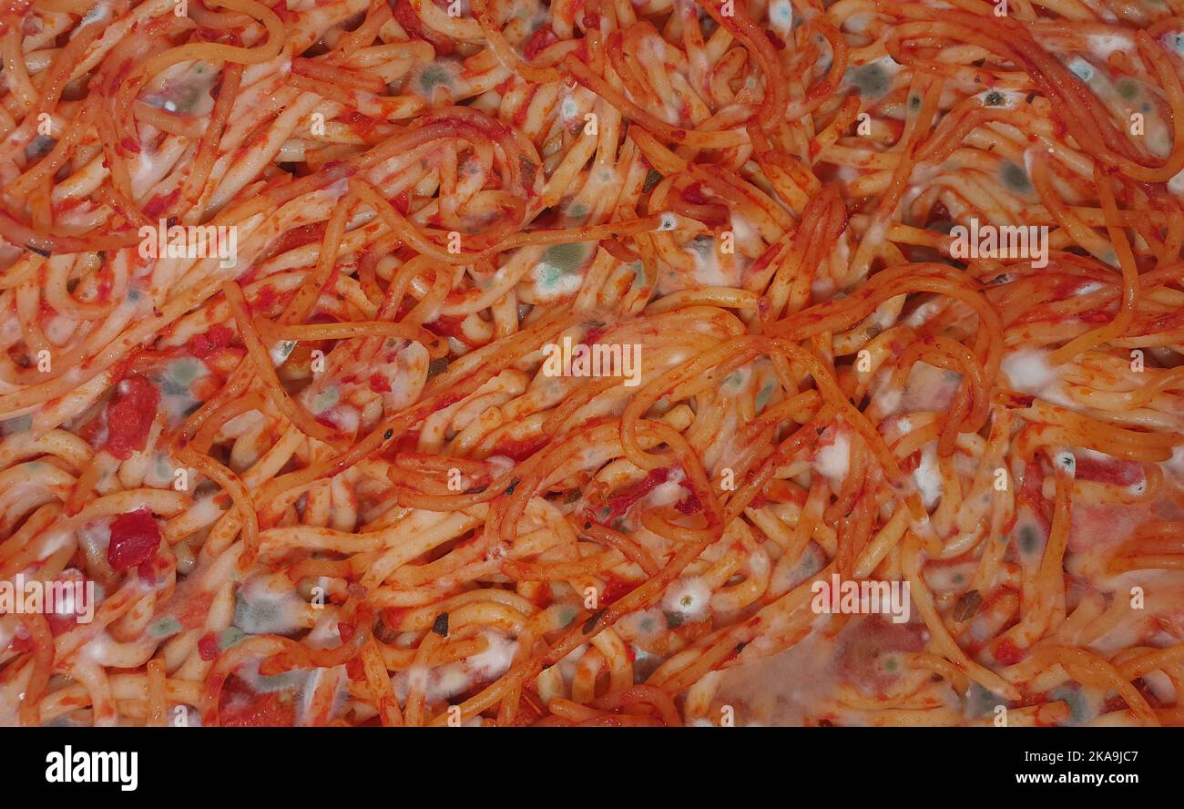 a close-up with mold on food, spore, green Stock Photo - Alamy