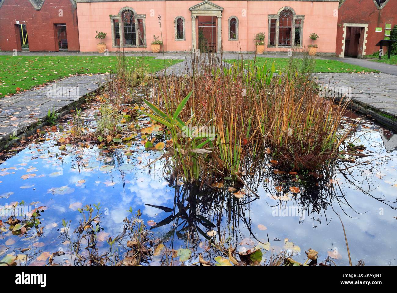 Ornamental fish pond outside Cowbridge community centre. Early autumn ...