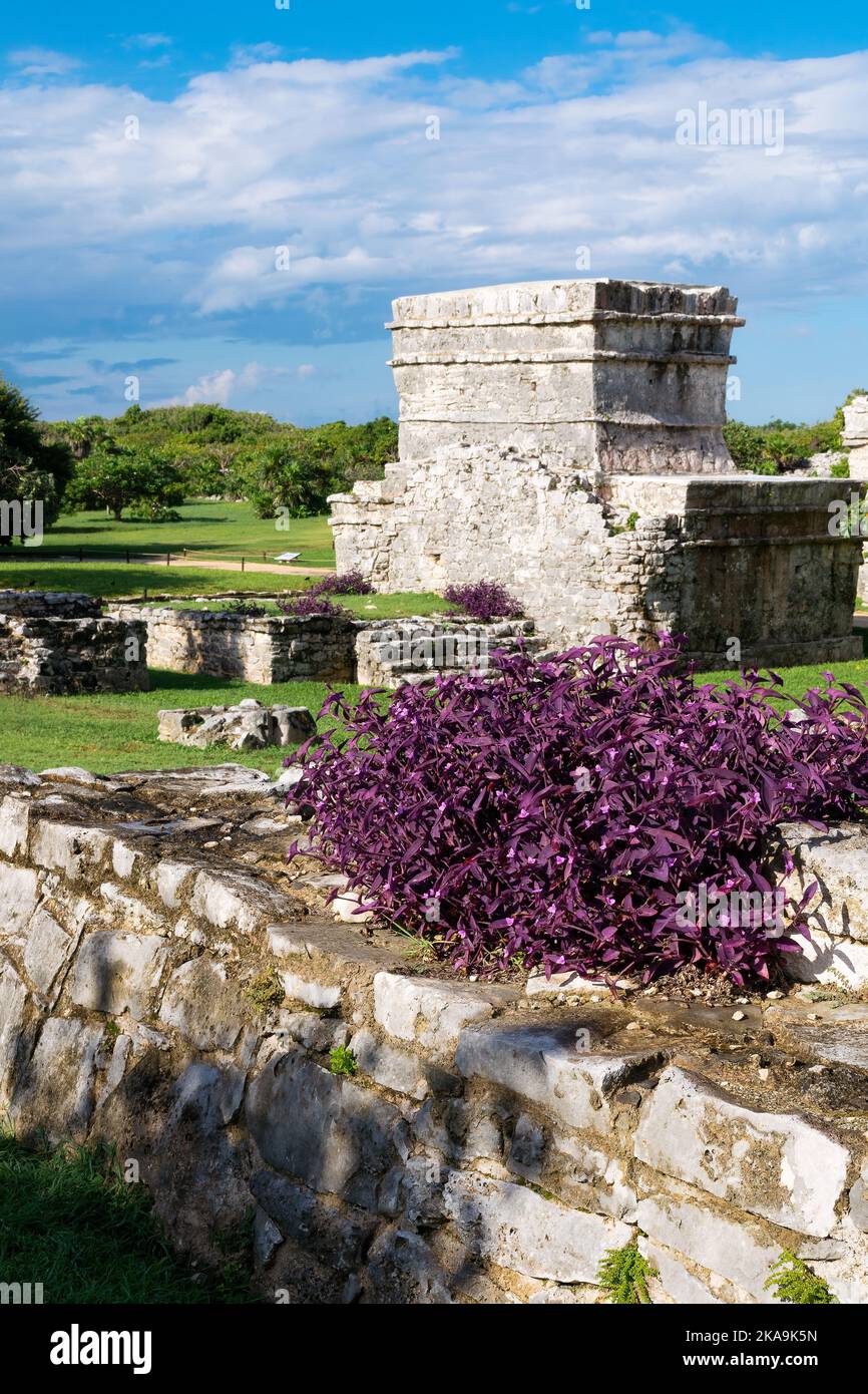 A vertical view of the historical Tulum Archaeological Zone ruins in ...