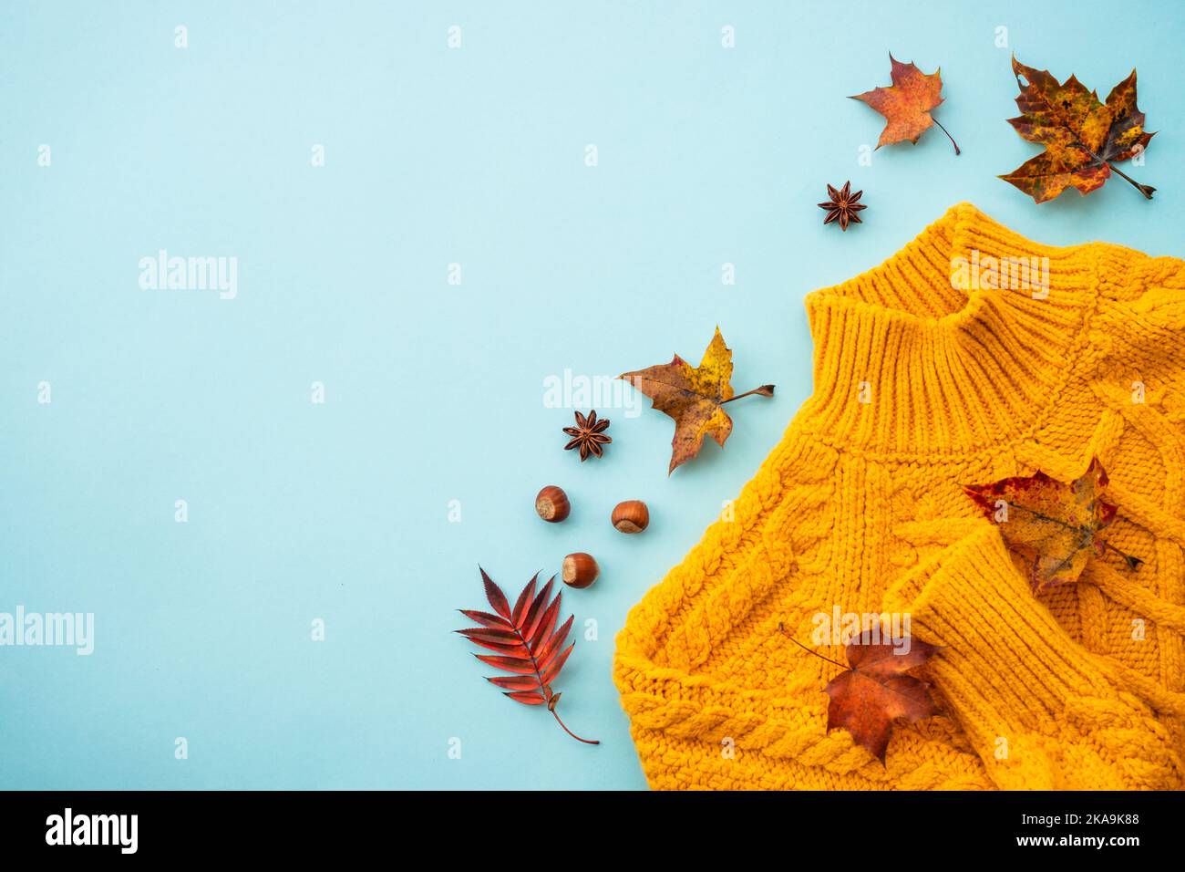 Flat lay of leaves hi-res stock photography and images - Alamy
