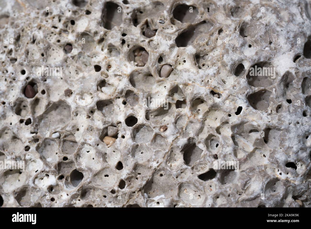 Grained coastal limestone texture with erosion holes. Weathered natural ...