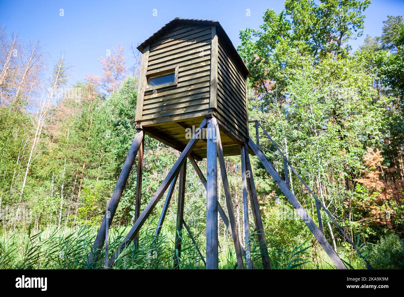 Hunting box stand in forest Stock Photo - Alamy