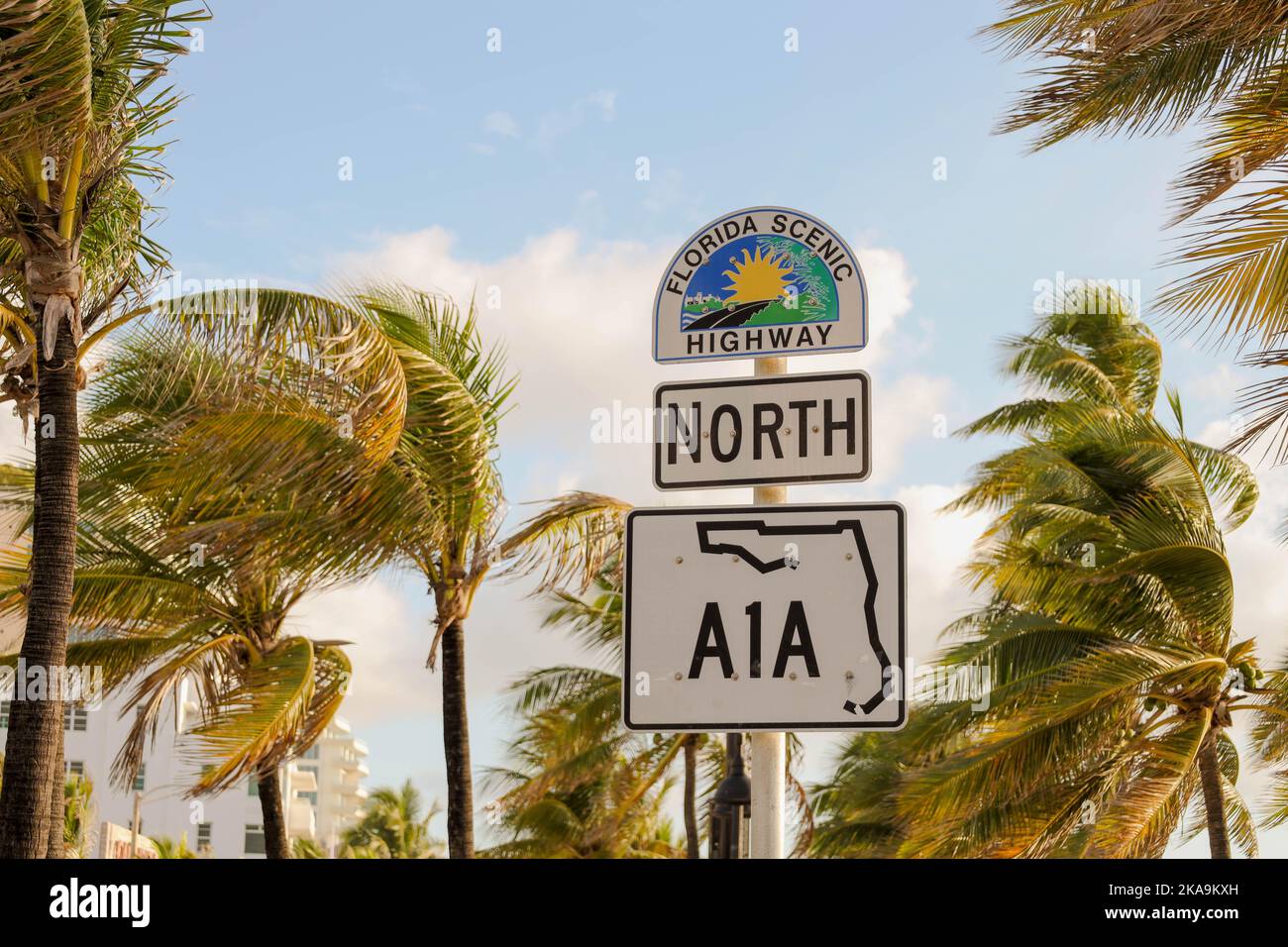 A sign of Florida Scenic Highway with palm trees Stock Photo - Alamy