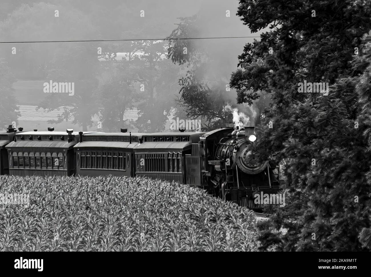 View of a Restored Steam Passenger Train Approaching Around a Curve ...