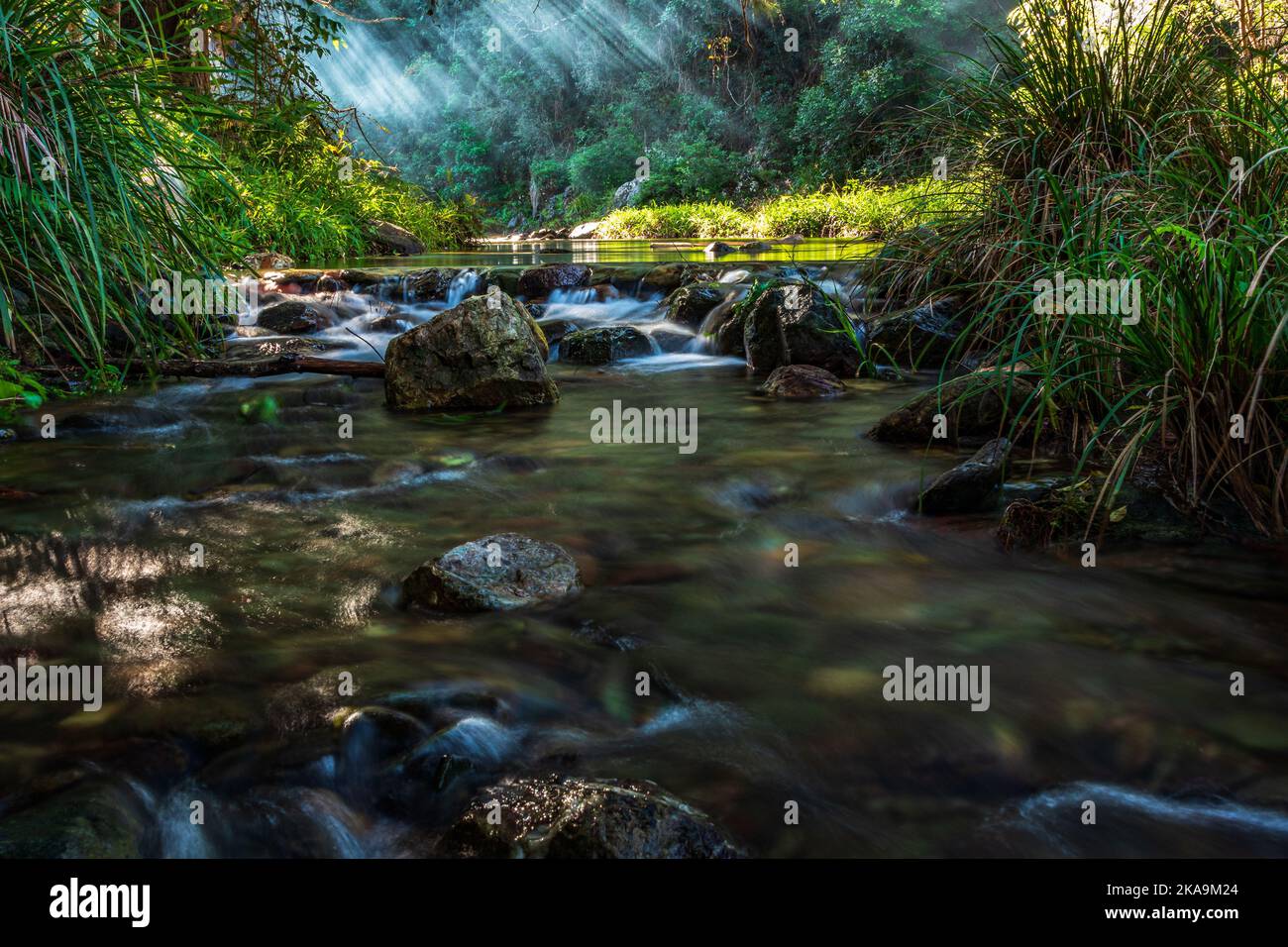 The beautiful Booloumba creek flowing on rocks surrounded by bushes and ...