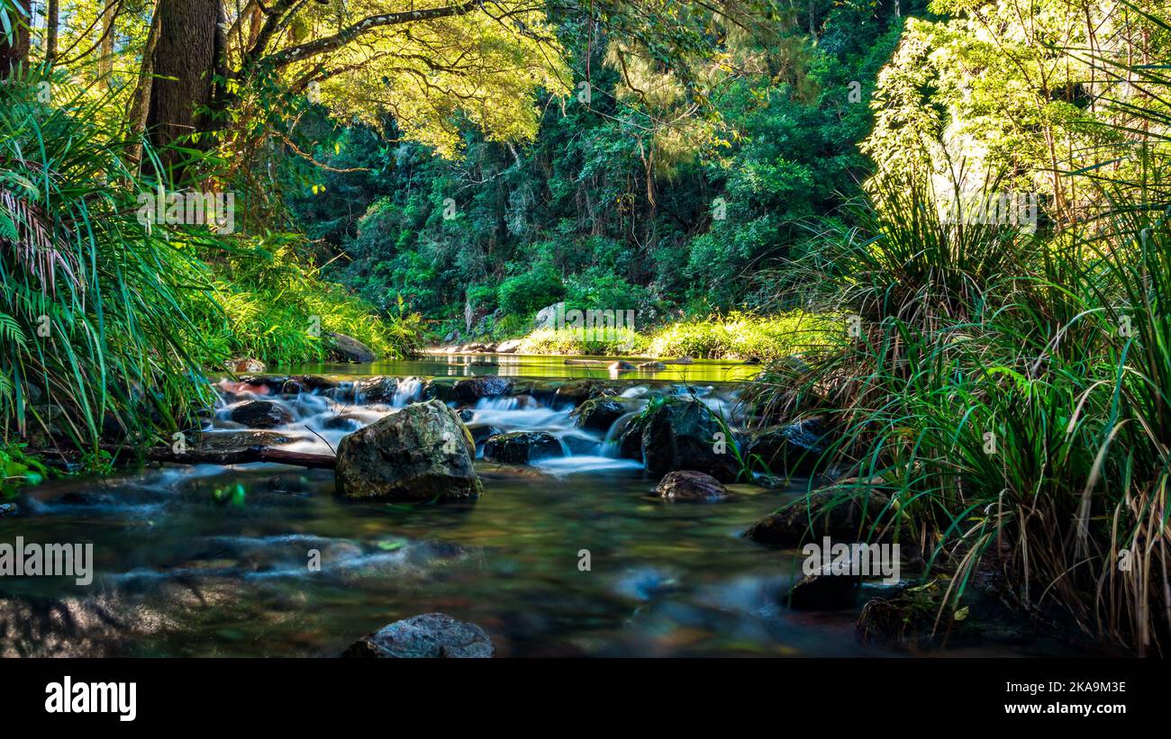 Booloumba creek hi-res stock photography and images - Alamy