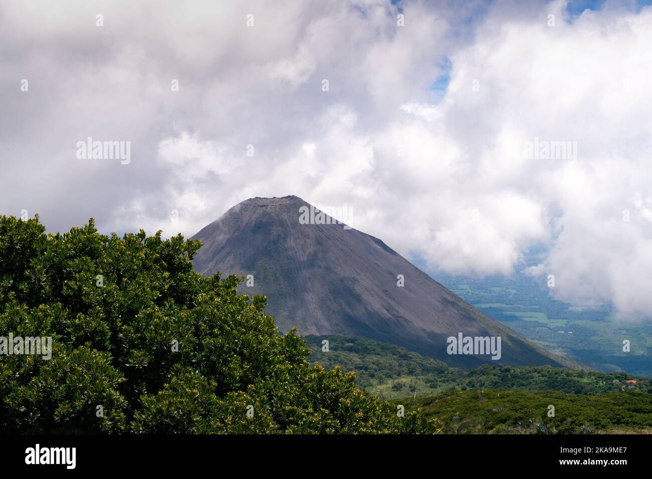 The Izalco volcano surrounded by dense forest and cloudy sky Stock ...