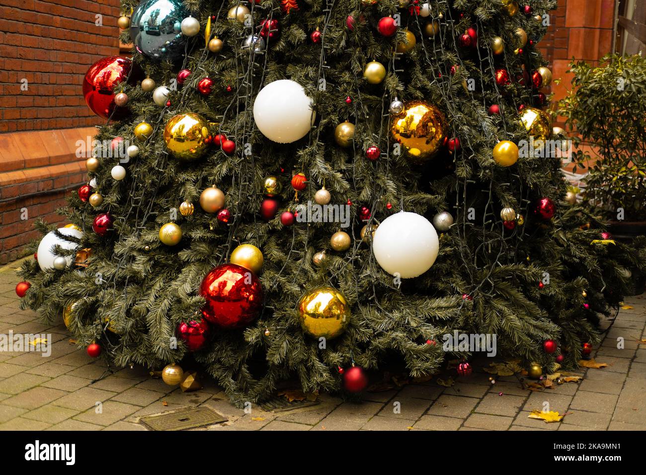 Bottom of christmas tree hi-res stock photography and images - Alamy