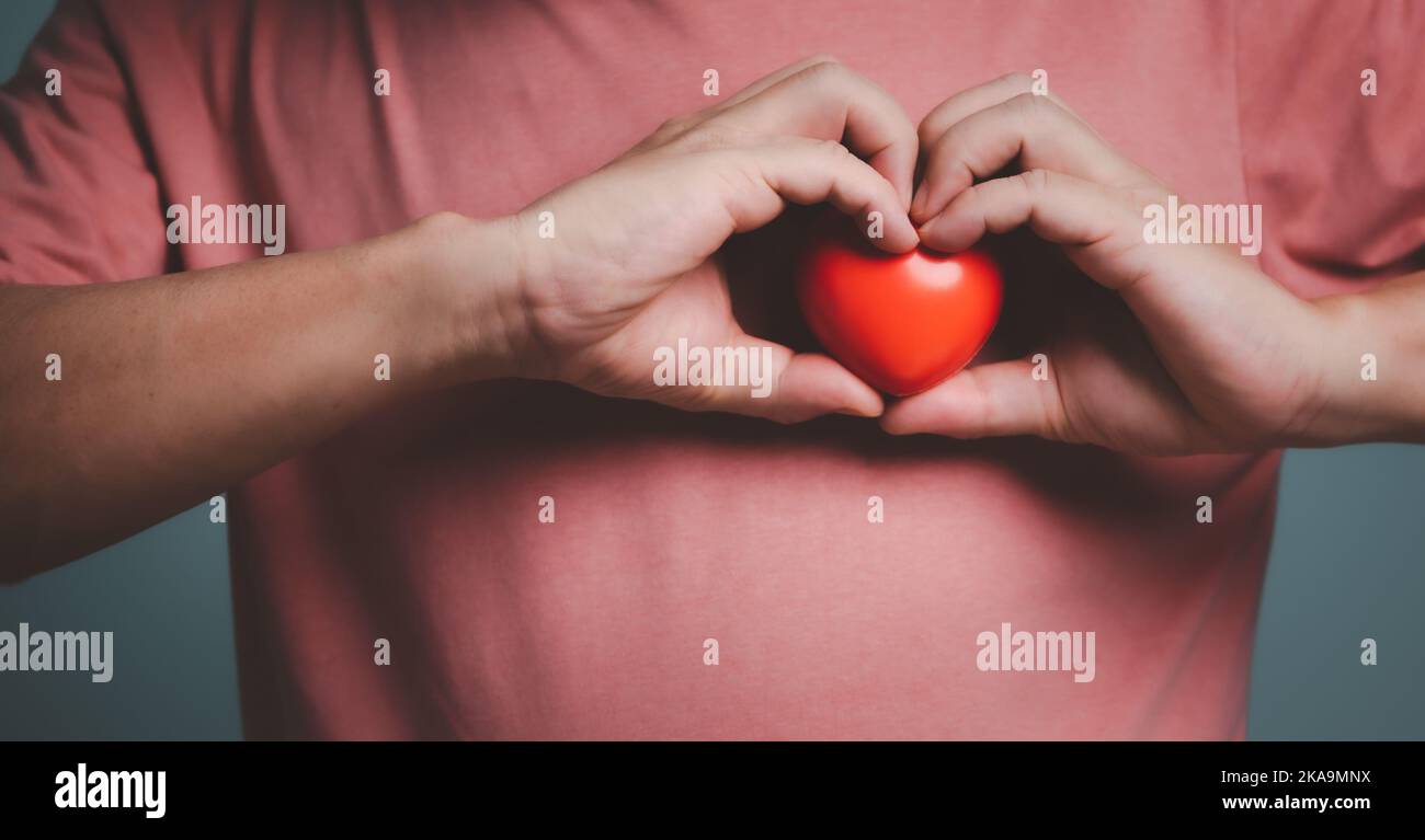 Hands holding and giving red heart for love, health care, organ ...