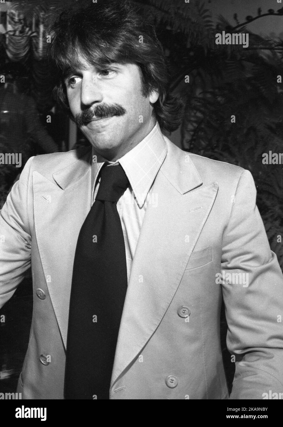 Henry Winkler Circa 1980's Credit: Ralph Dominguez/MediaPunch Stock ...