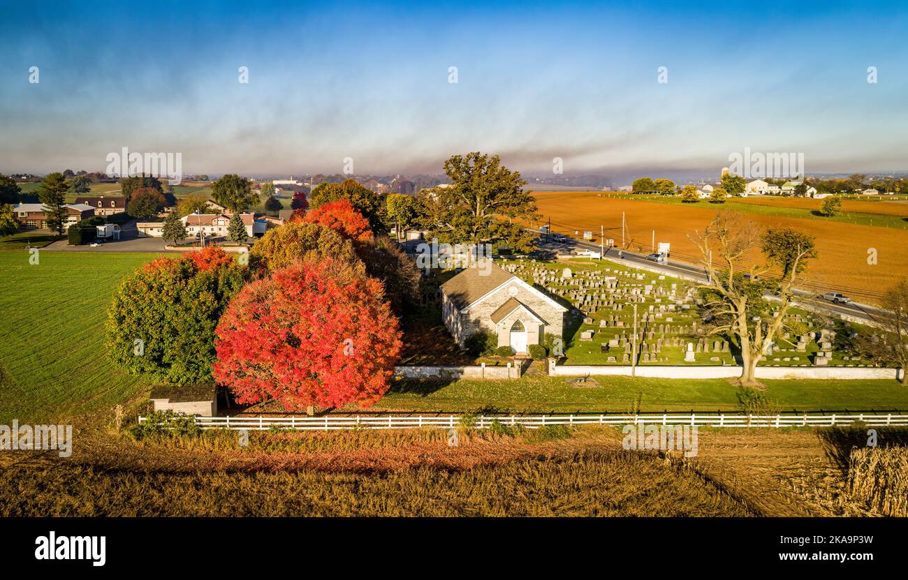 A Drone View of a Row of Trees with Fall Bright Colors on a Early ...