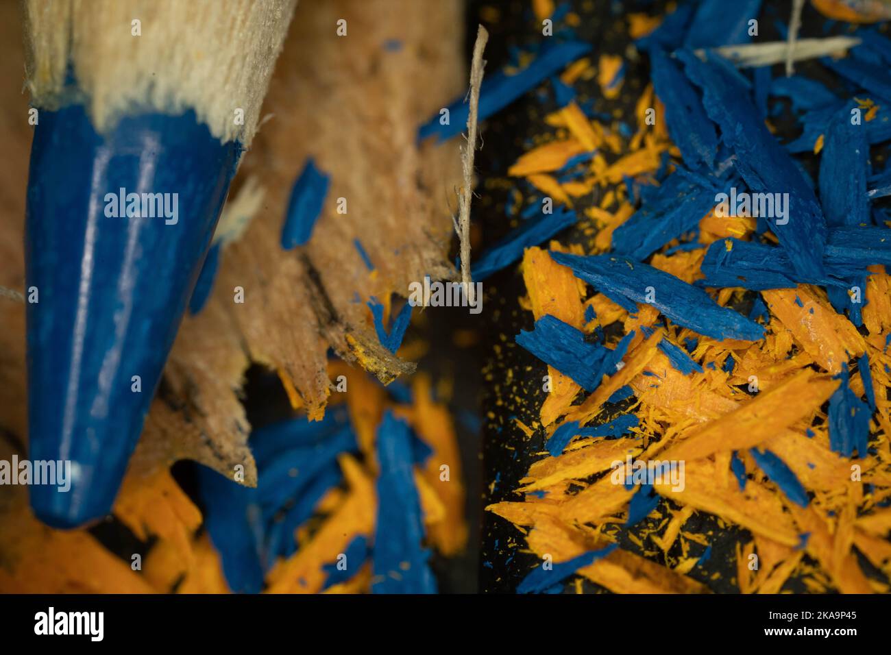 A closeup shot of the lead of a blue pencil with sawdust Stock Photo ...