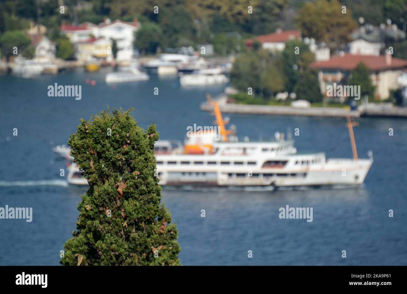 Autumn, trees and ferry in Istanbul Strait ( Bosphorus Stock Photo - Alamy