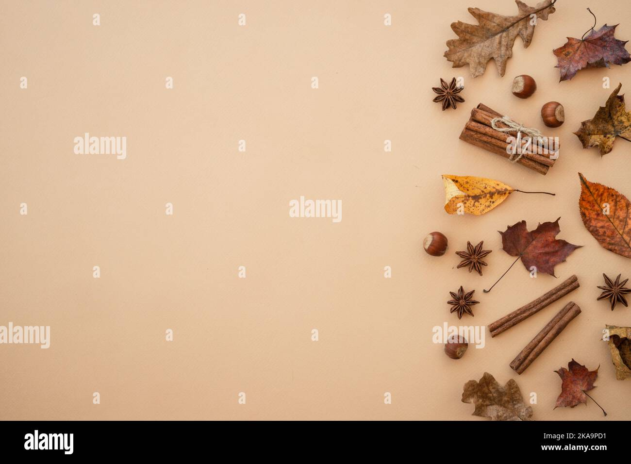 Autumn flat lay background on white Stock Photo - Alamy