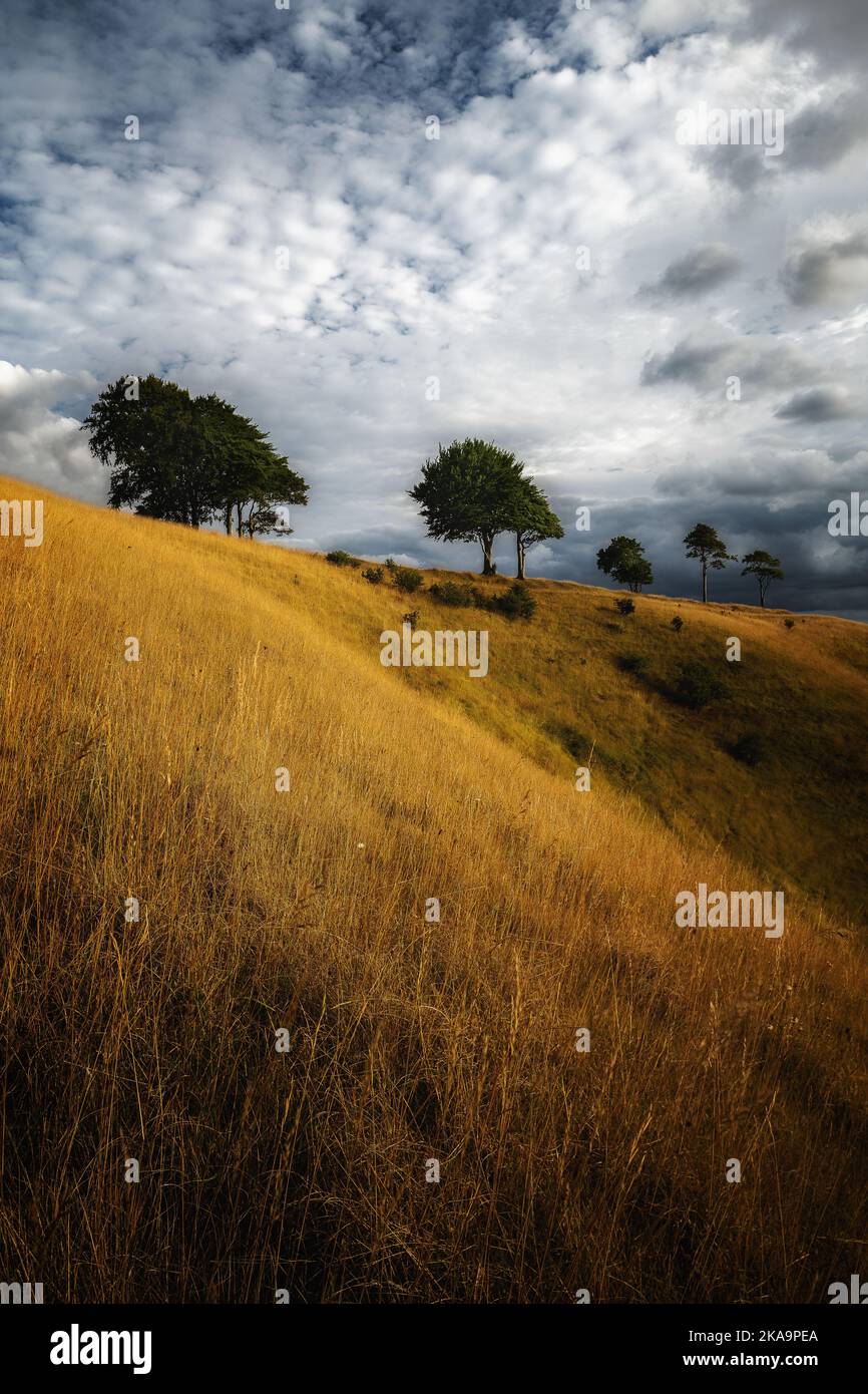 Roundway hi-res stock photography and images - Alamy