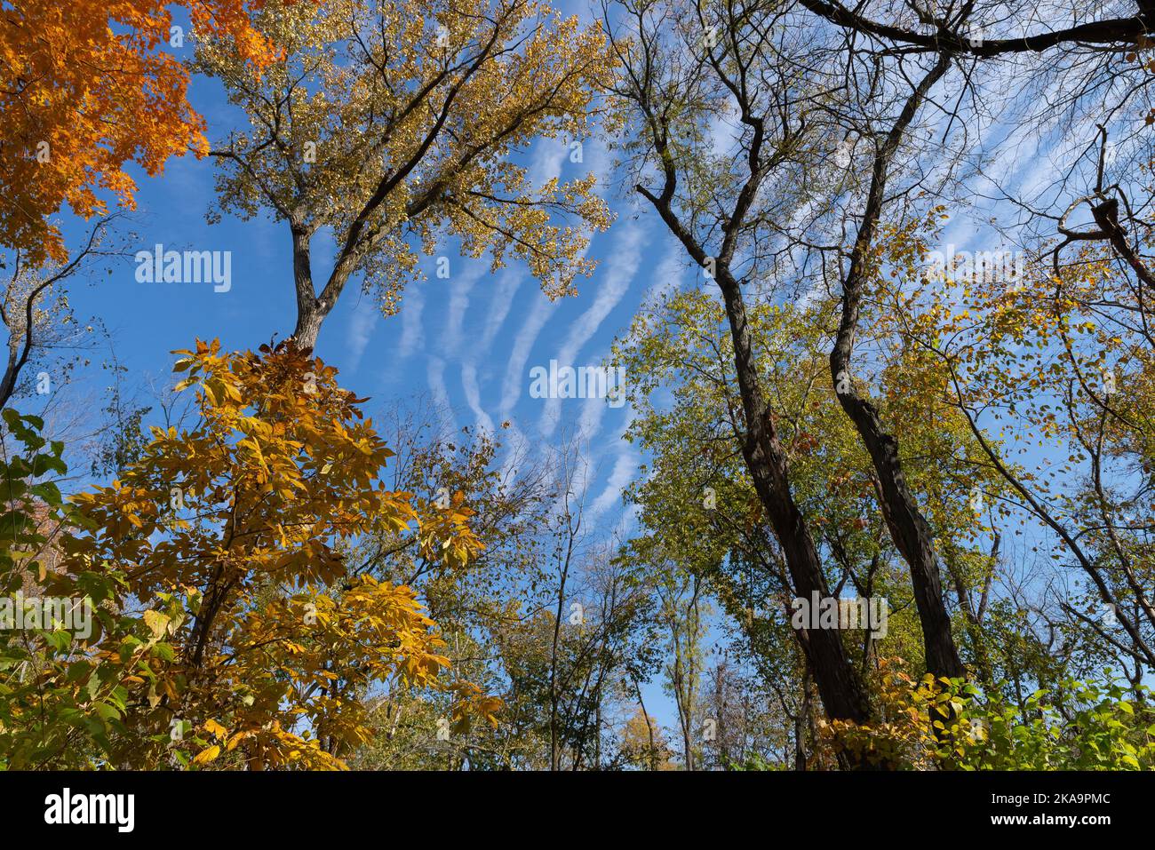 Autumn landscape in Illinois Canyon at Starved Rock State Park ...