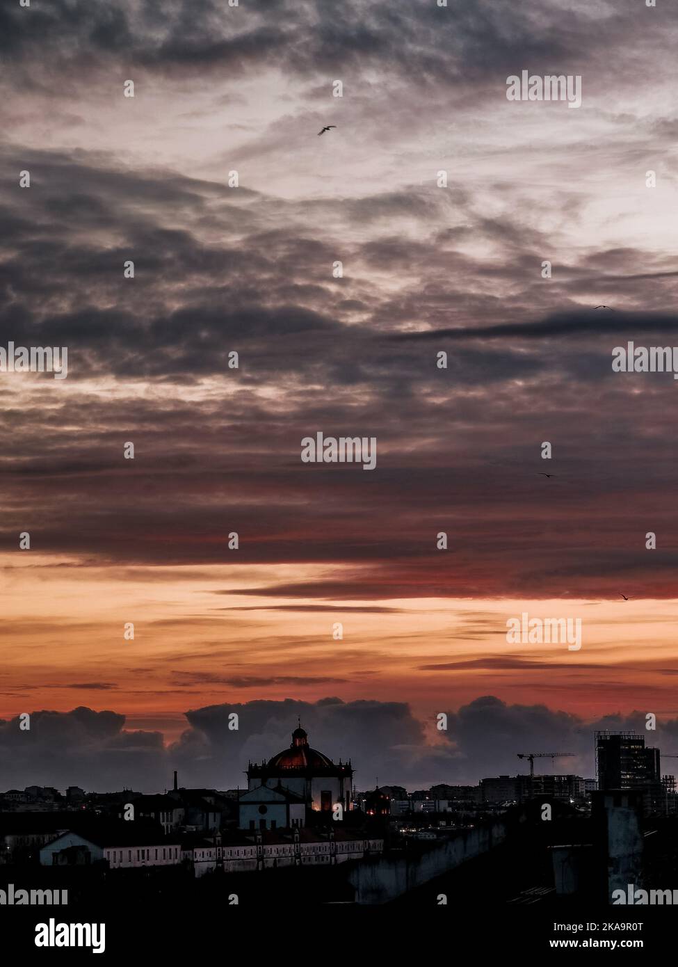 A beautiful view of a residential area with buildings during sunset ...