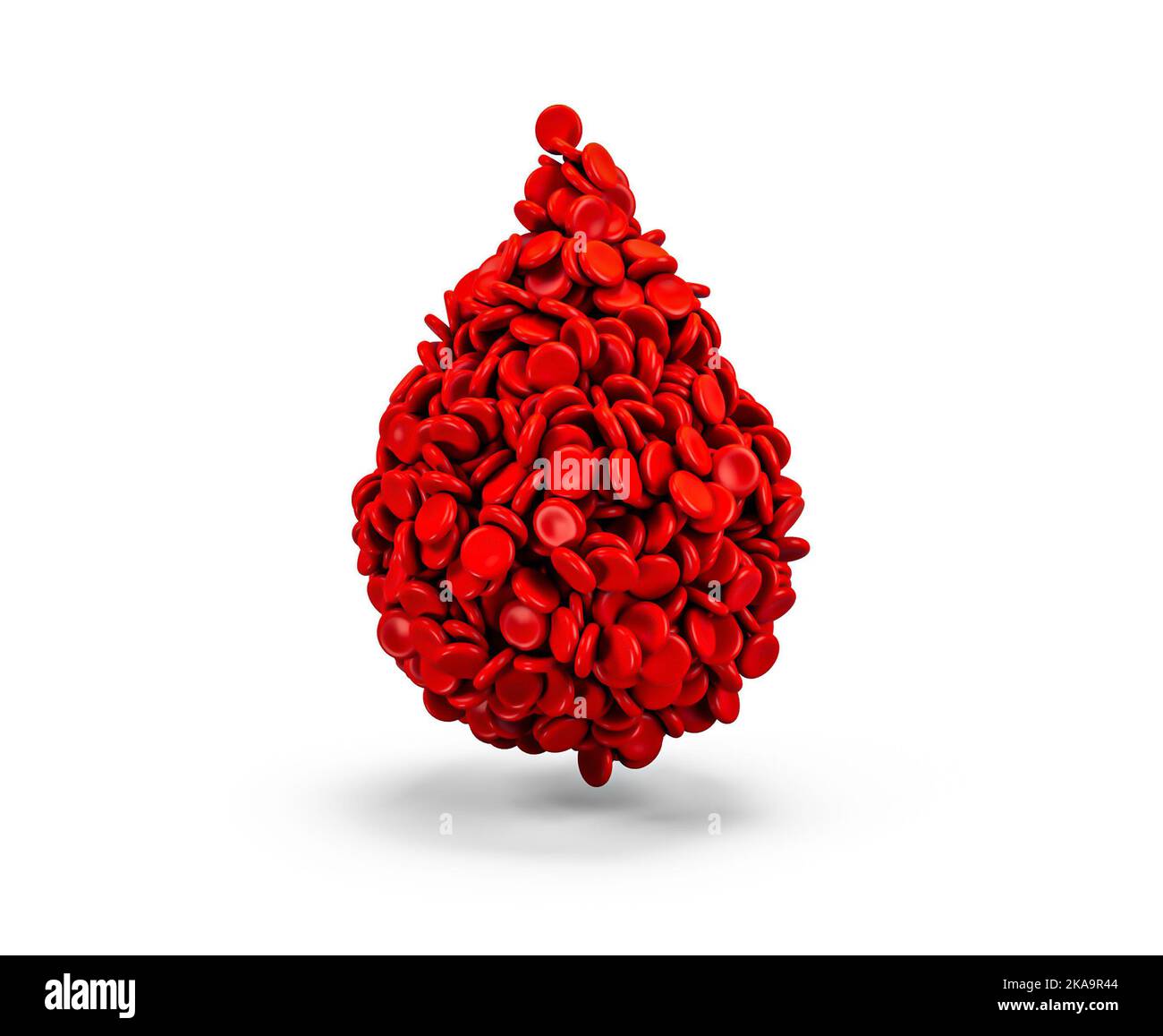 A 3D rendering of red blood cells isolated on a white background Stock ...