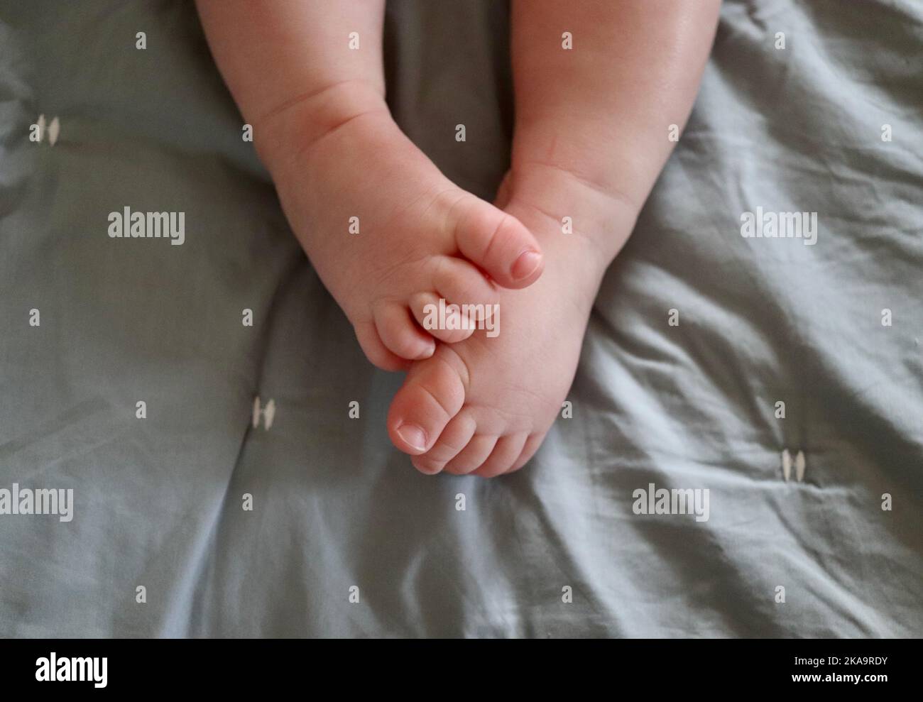 Newborn baby toes on a blanket Stock Photo - Alamy